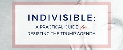 Indivisible App